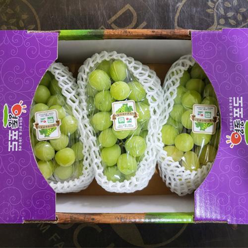 [GAP인증]2025 샤인머스켓 2-4kg